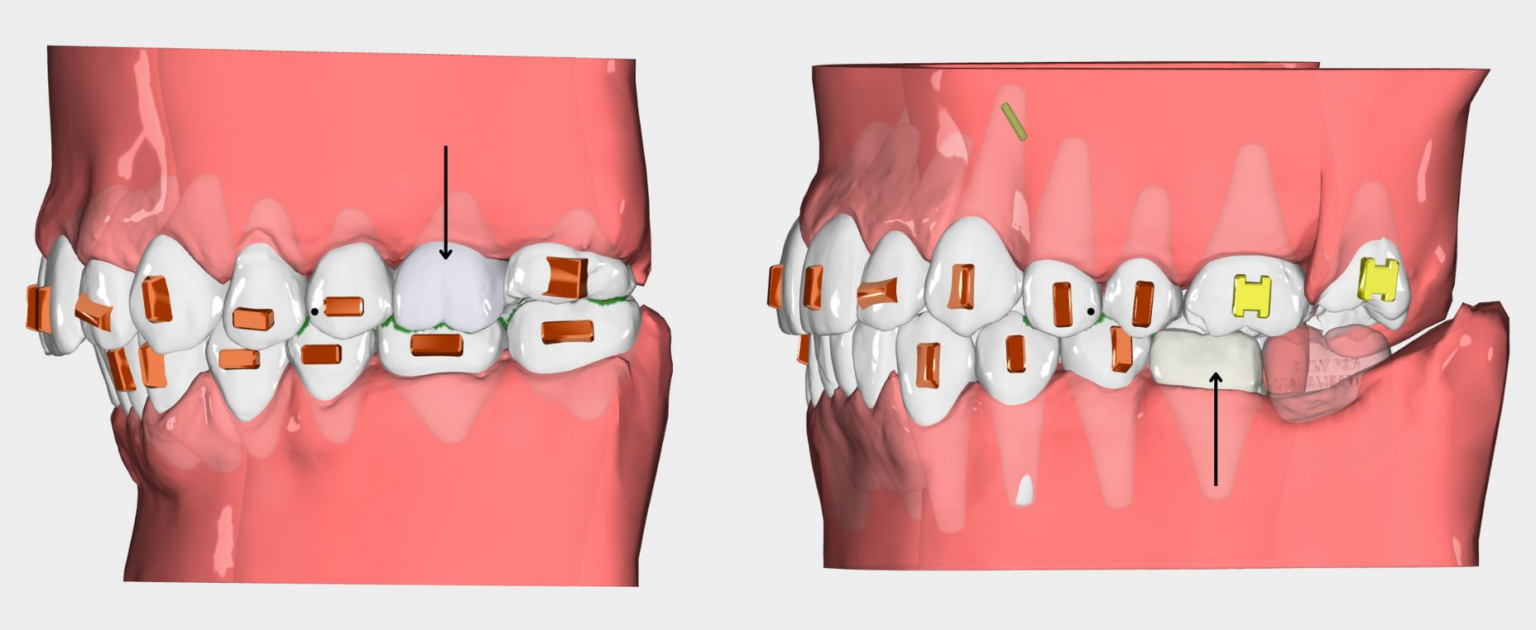 Updates to the Platform Dr.Ordoline - Ordoline